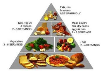 Pengaturan Makanan Pemain Sepak Bola : Pelatihan,Sebelum Bertanding dan ...