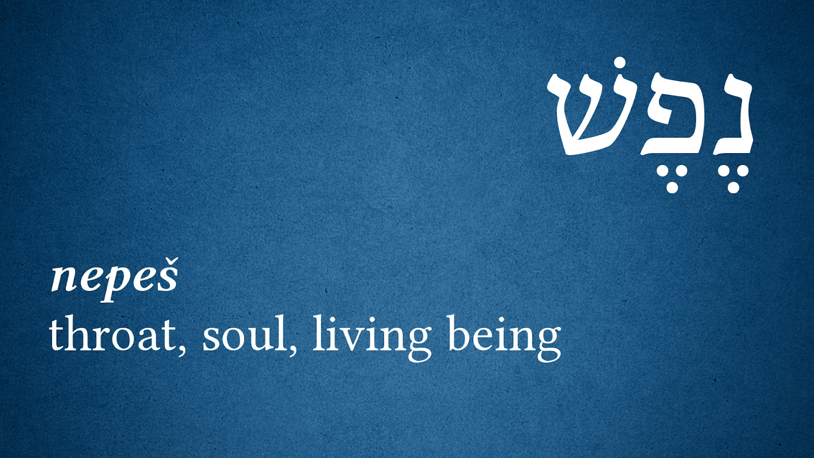 Scripture Engagement