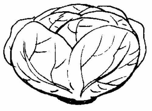 Sekitar Kawasan Sekolah: Gambar outline_Buah Sayur