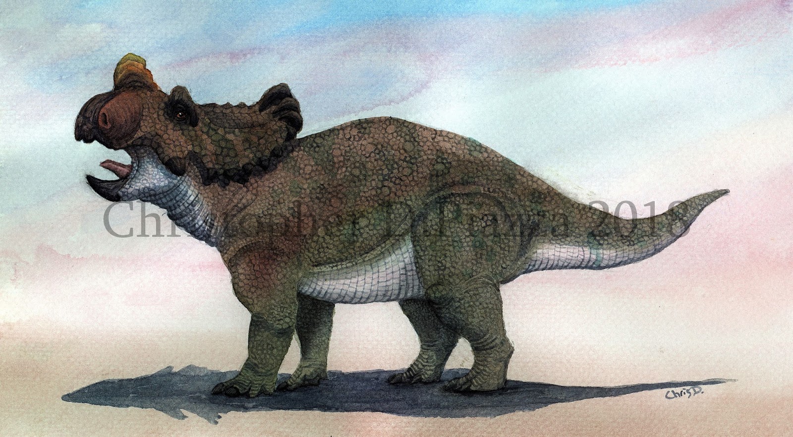 Prehistoric Beast of the Week: Wendiceratops: Beast of the Week