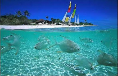 DISCOVER the Natural Wonders in the PHILIPPINES!