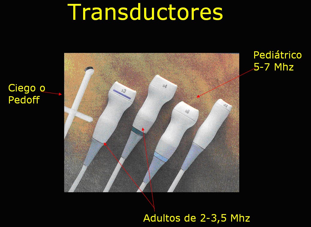 ICC: 1. Principios Básicos de la Ecocardiografía