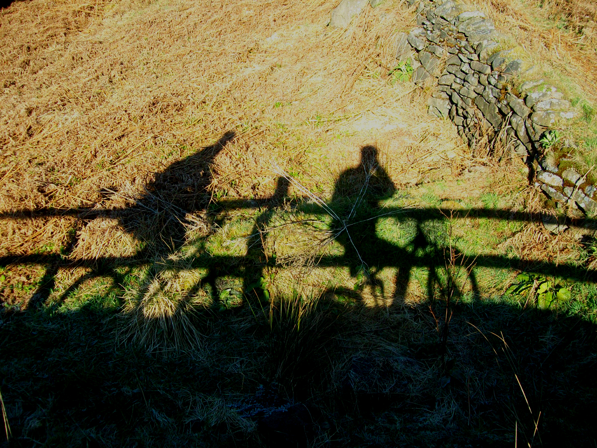 Middlebrook Valley Trail