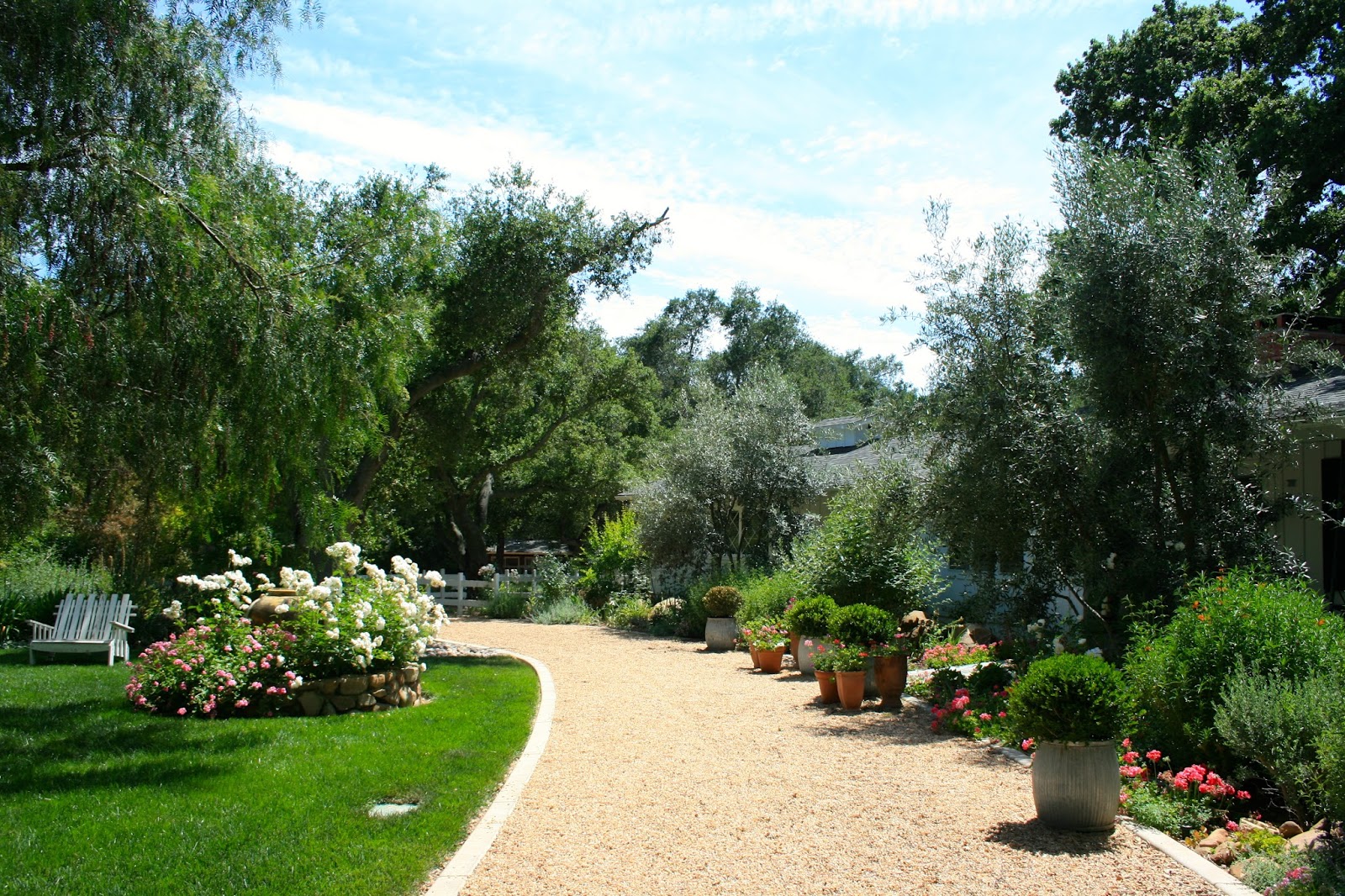 The Polished Pebble: Trees