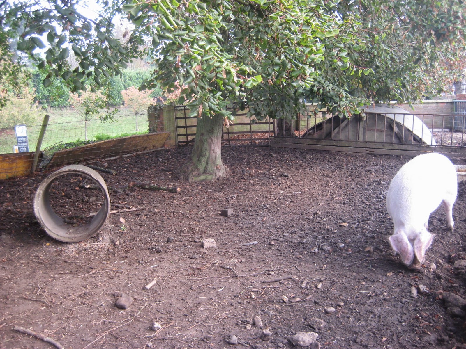 Tales of the March Hare: Hall Farm, Stratford St Mary, Dedham, Colchester