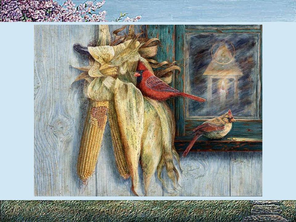 Soloillustratori: Pat Gamby