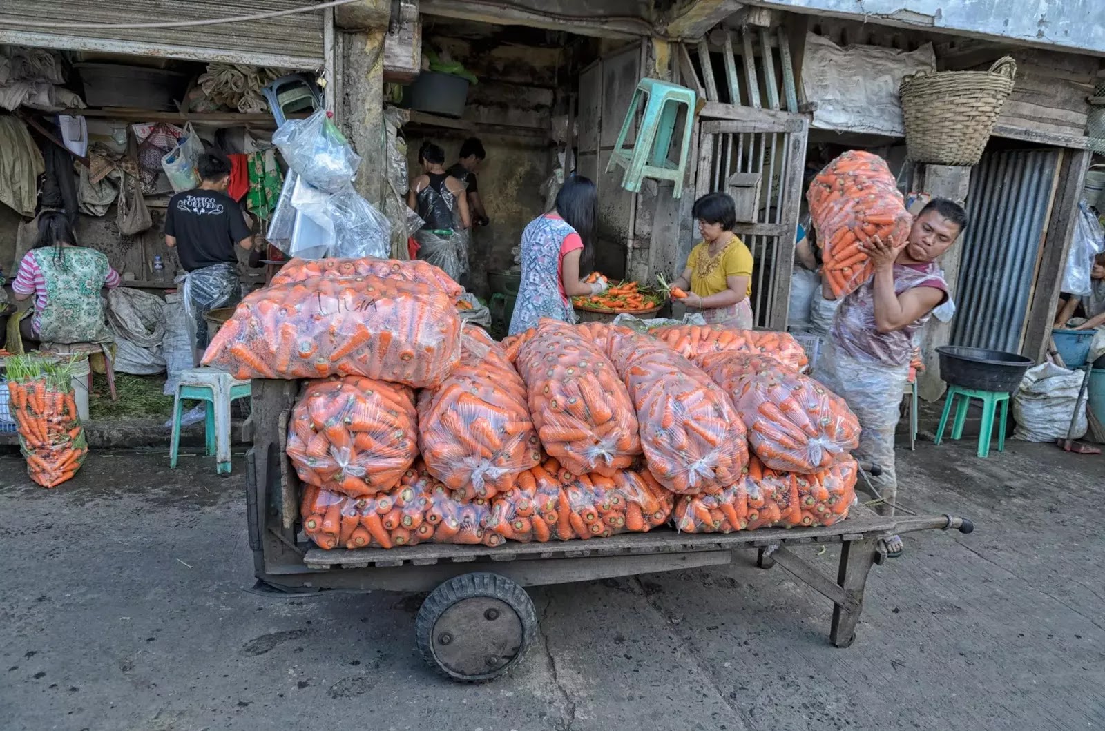 Vegetable Porters La Trinidad Benguet & Baguio City | AvianQuests