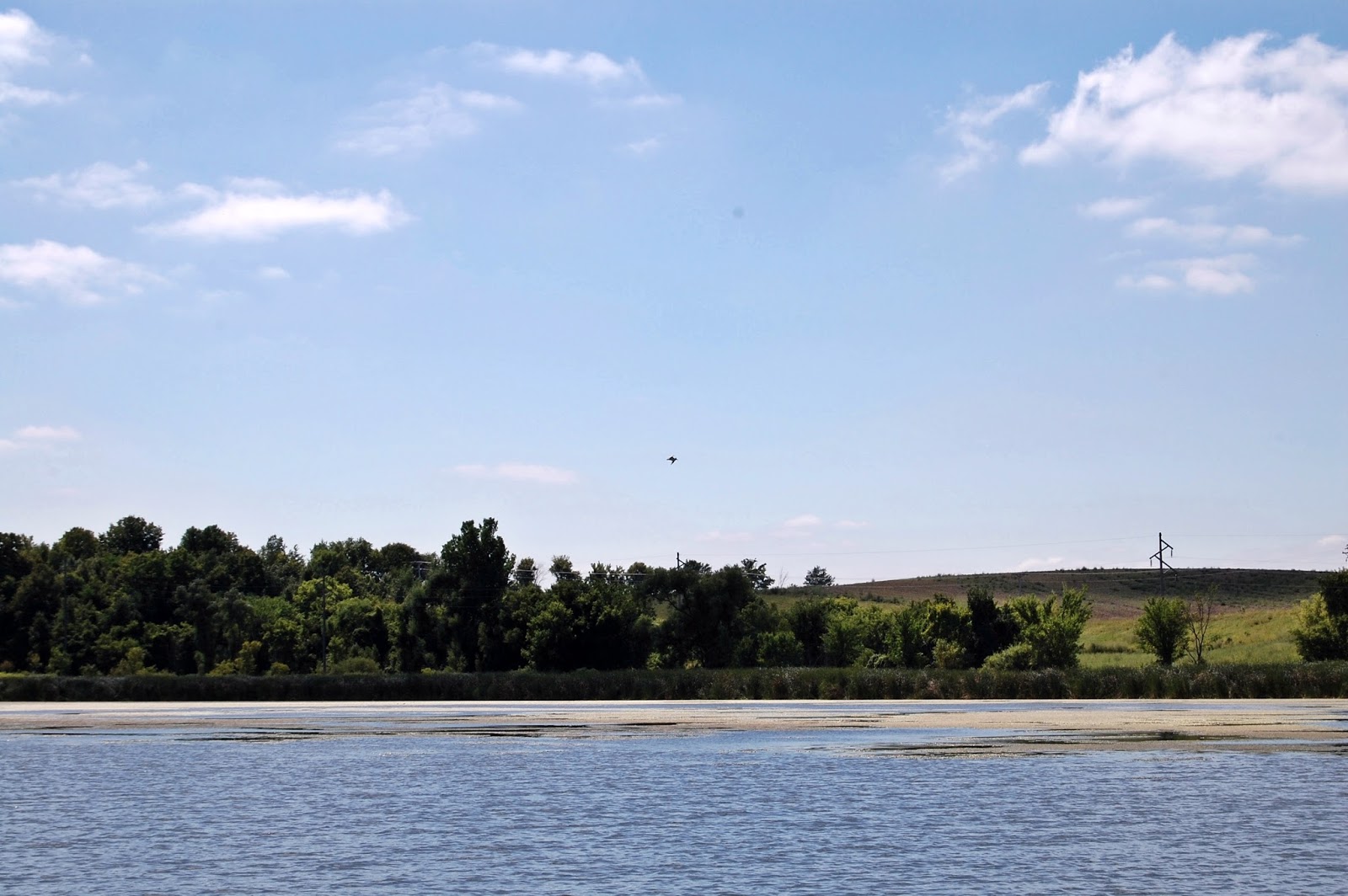 Circle Lake, Rice County, MN