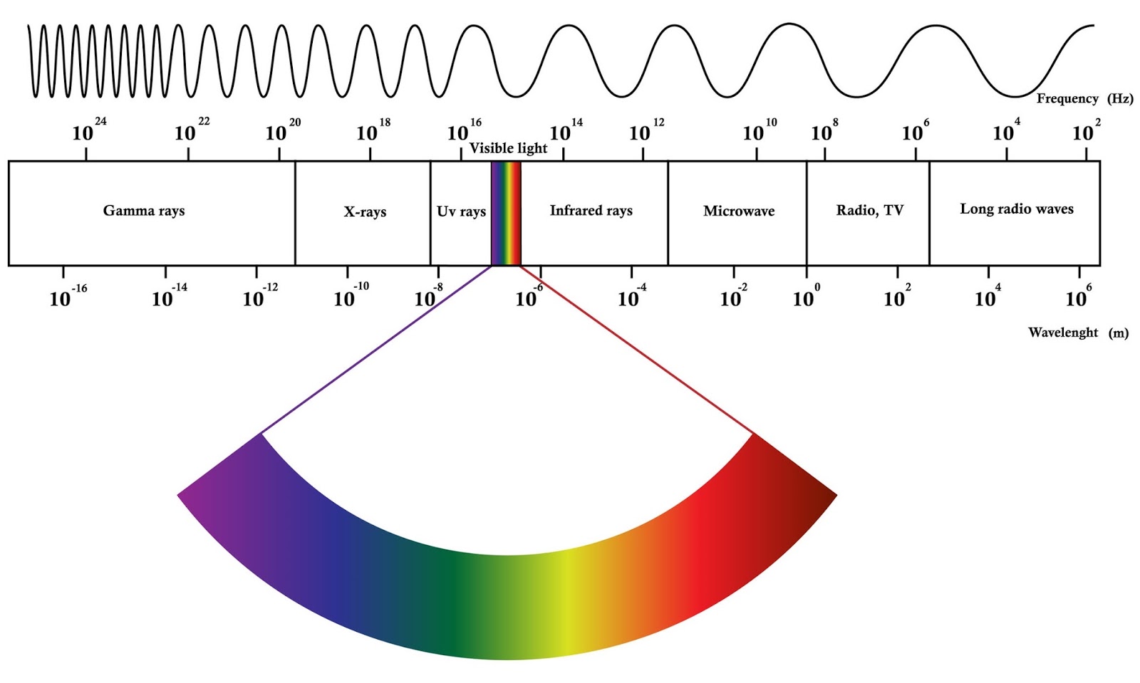 Univers Santé: Quels sont les rayons X?