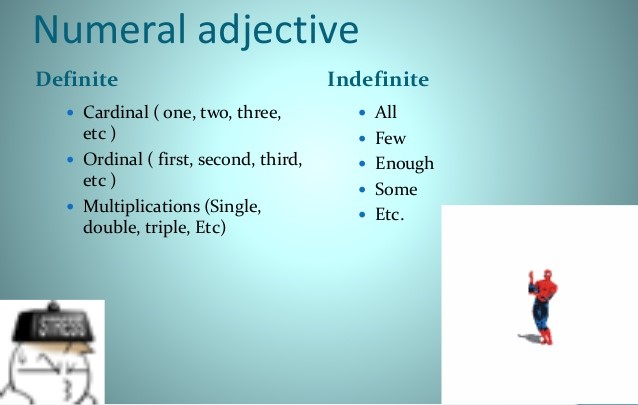 Numeral Adjectives - English Grammar solution