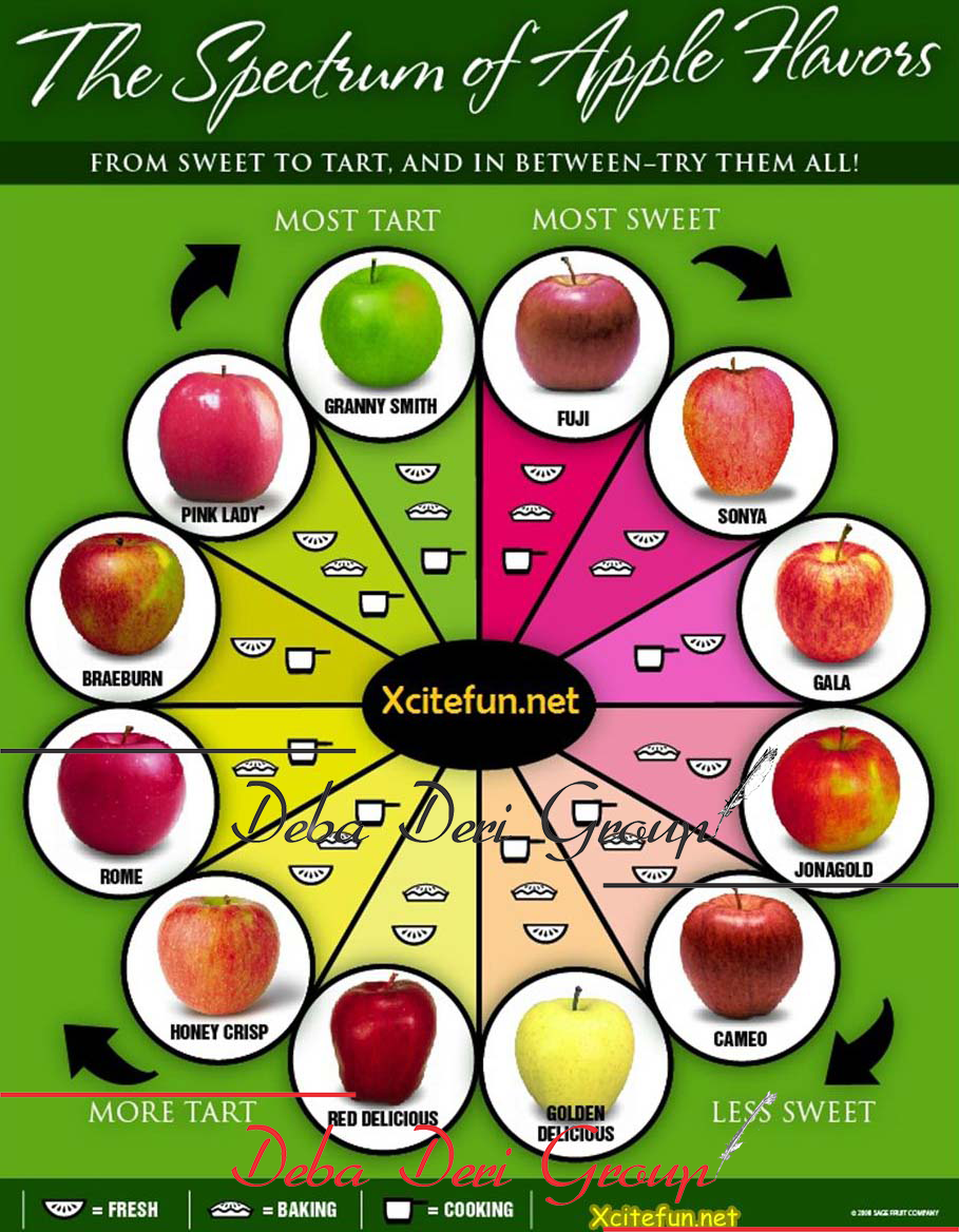 Olahan Apel: PERBEDAAN APEL FUJI DAN APEL MALANG,- Deba Deri Group