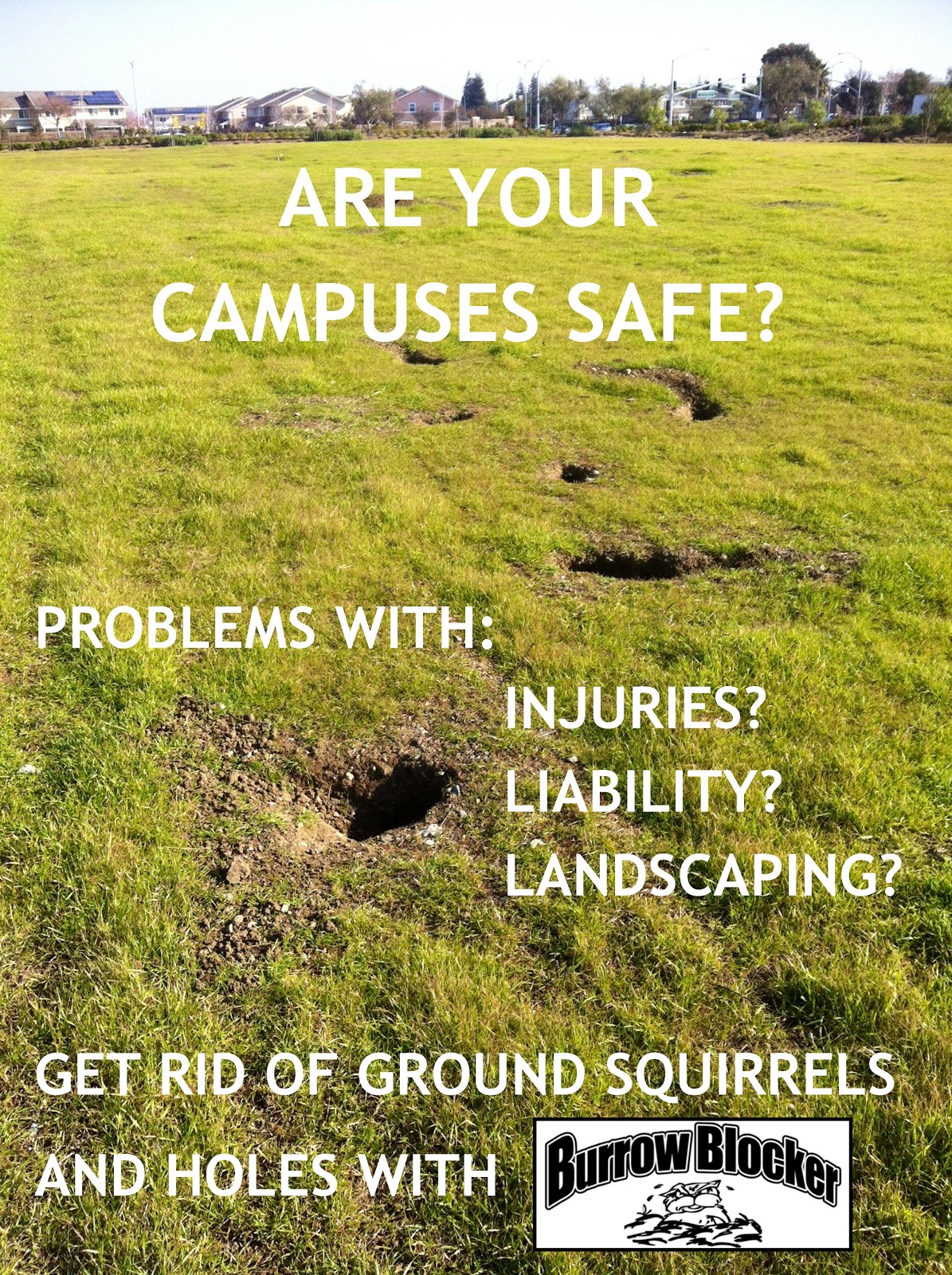 Meet the Squirrel People