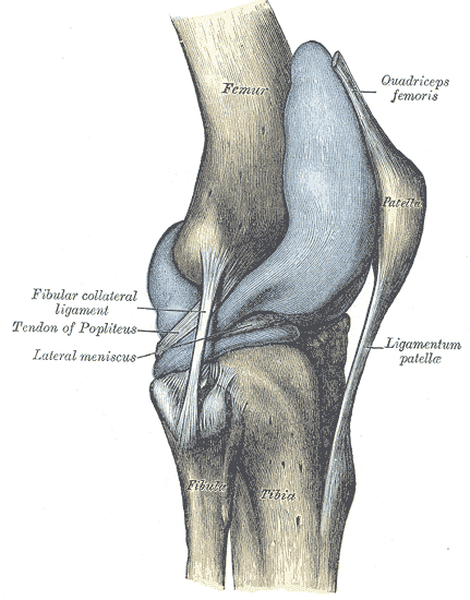 Kiropraktorjournalen: Behandling av jumpers knee / patella tendinopati ...