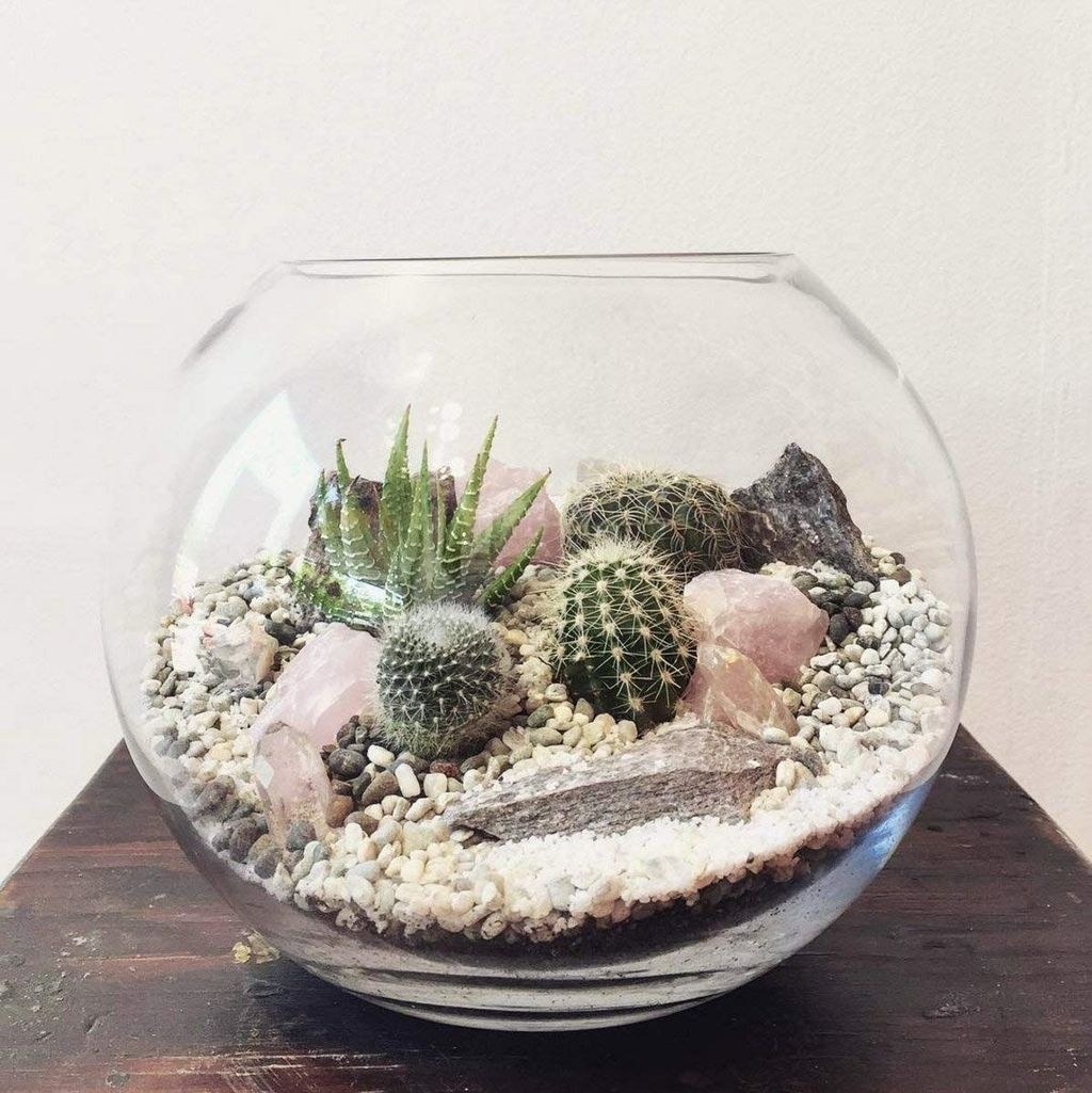 48 Cute Small Cactus Ideas To Maximize Your Interior Design | ARA HOME