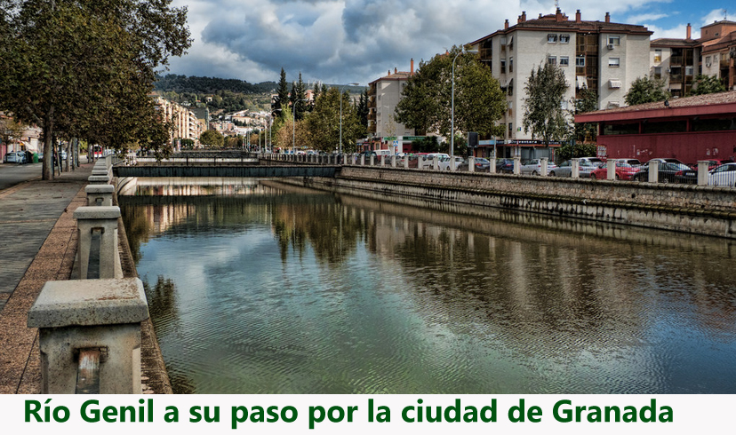 PUENTE-GENIL ES MI BLOG: El río Genil.-