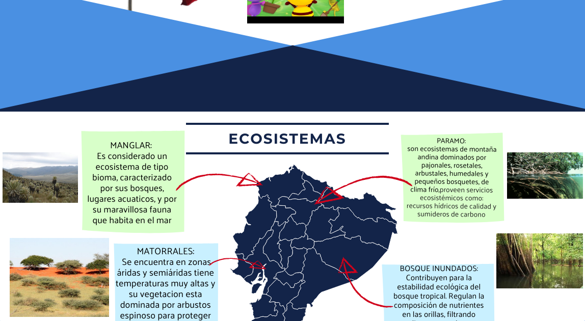 ECUADOR - 903: Biología