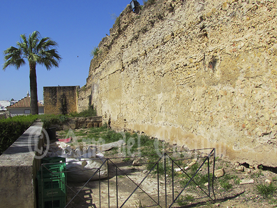 AMO DEL CASTILLO: Pro Patrimonium. El castillo de Utrera, una ...