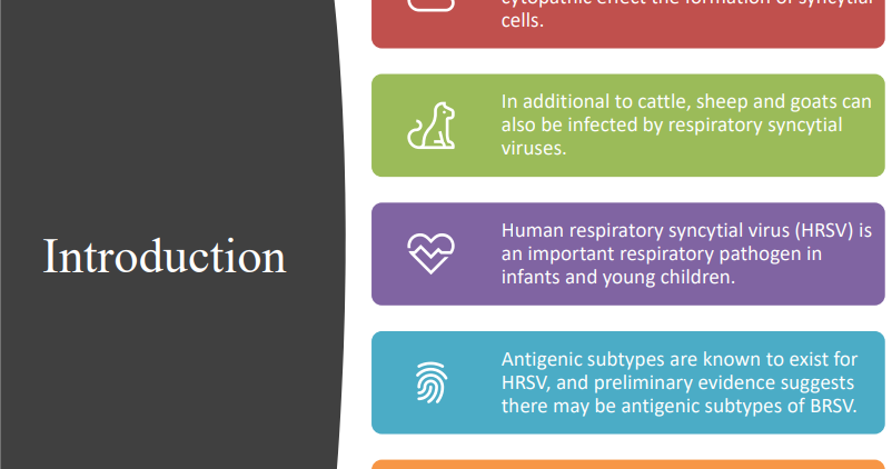 Bovine respiratory syncytial virus (BRSV)