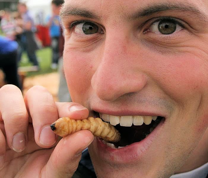 Journaling - In Your Own Words: Do You Know...Your Science Facts?