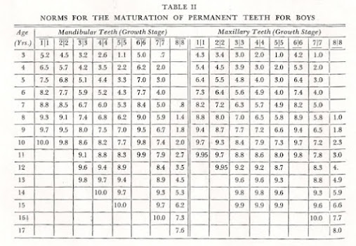 Estágios de Desenvolvimento de Nolla