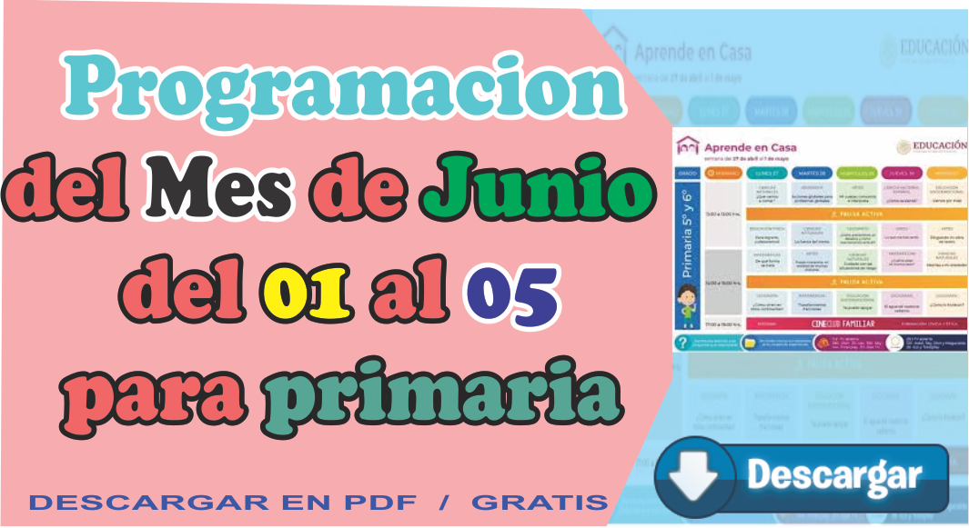 Programación del Mes de Junio del 01 al 05 para primaria