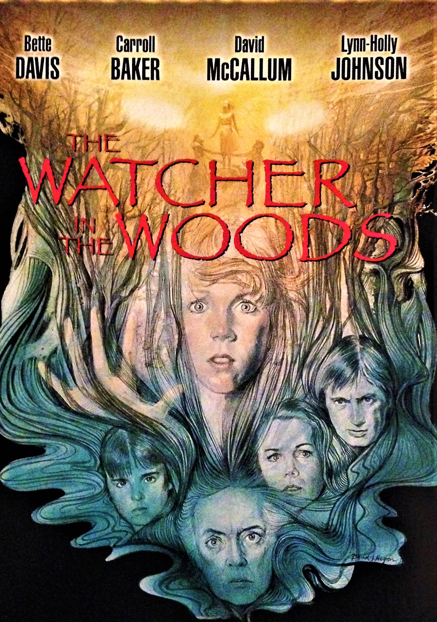 The CinemaScope Cat: The Watcher In The Woods (1980)