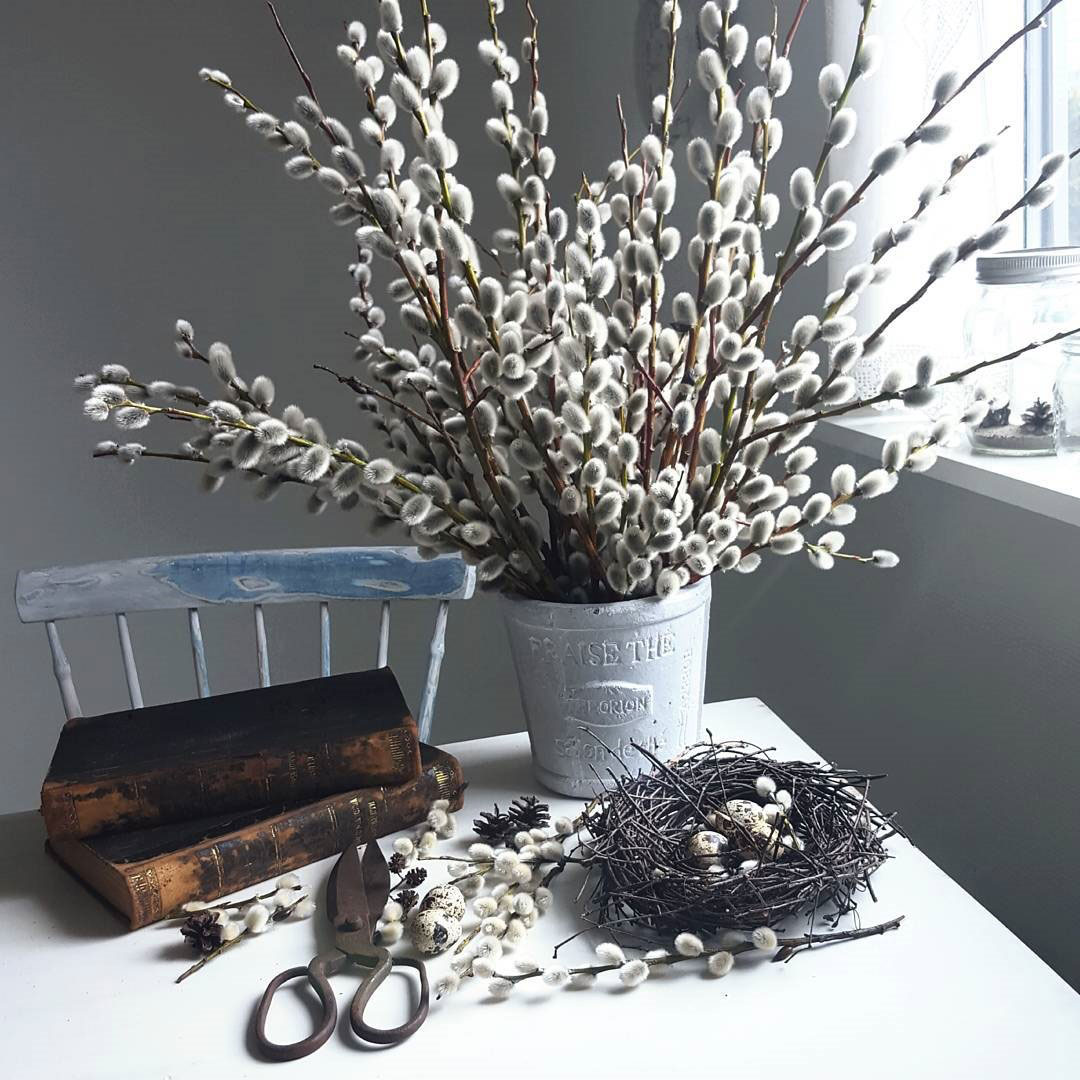 CICE MACE: Proljetni klasik u vazi | Journal de Luxe - #MItoTako