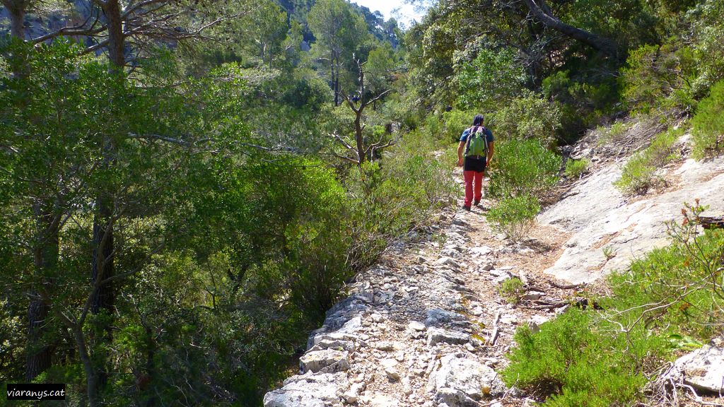 Viaranys: Forat de Can Bajoca a la serra Mitjana