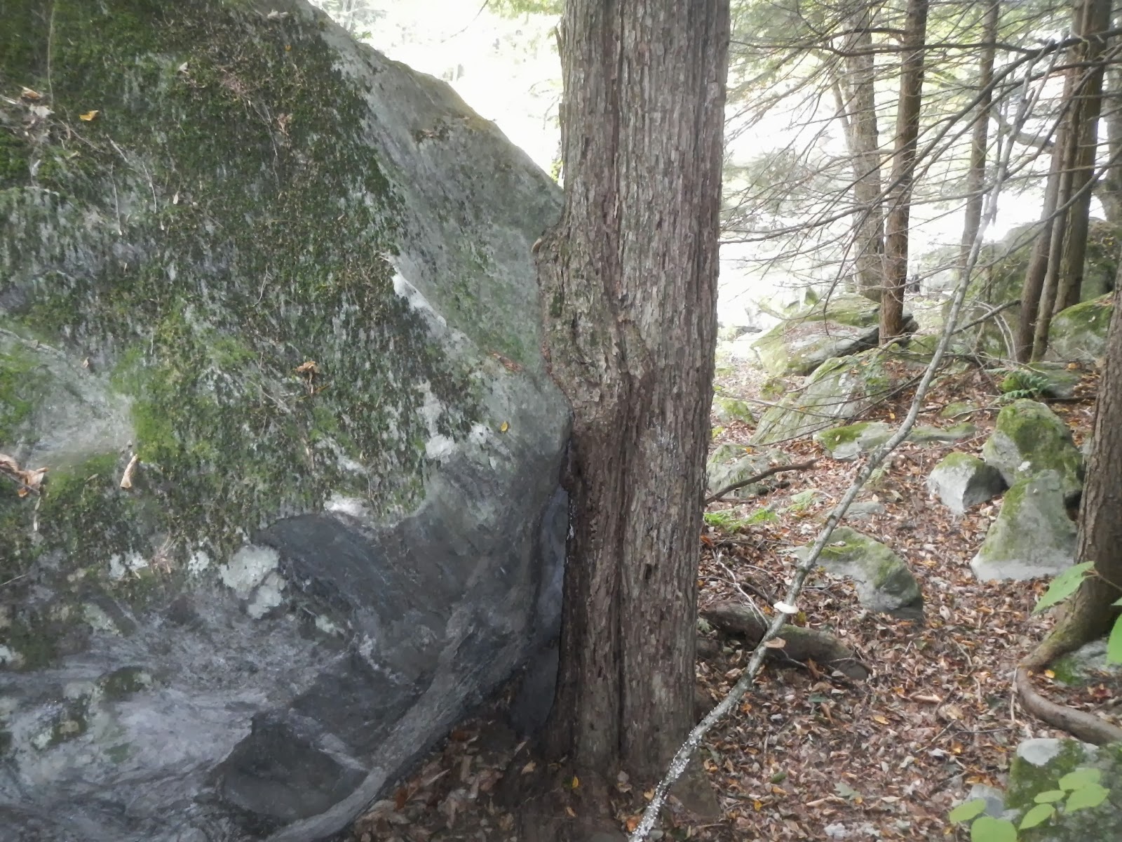 Mahican-Mohawk Trail Maps: Other Trails in Mohawk Trail State Forest