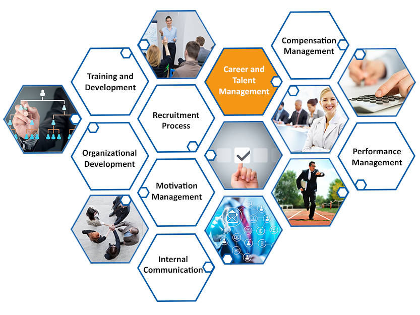 Arabic Knowledge Blog What Is Organizational arabic-knowledge-blog-what-is-organizational