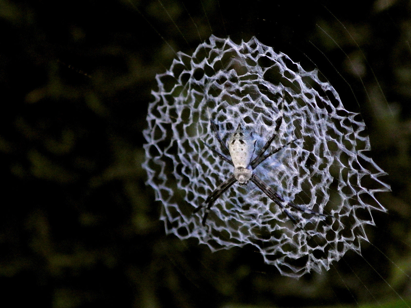 Real Monstrosities: Stability, Prettily