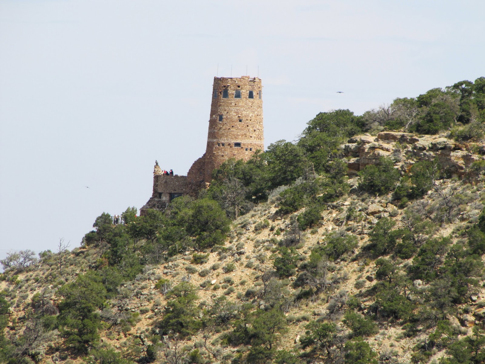 To Behold the Beauty: 2011