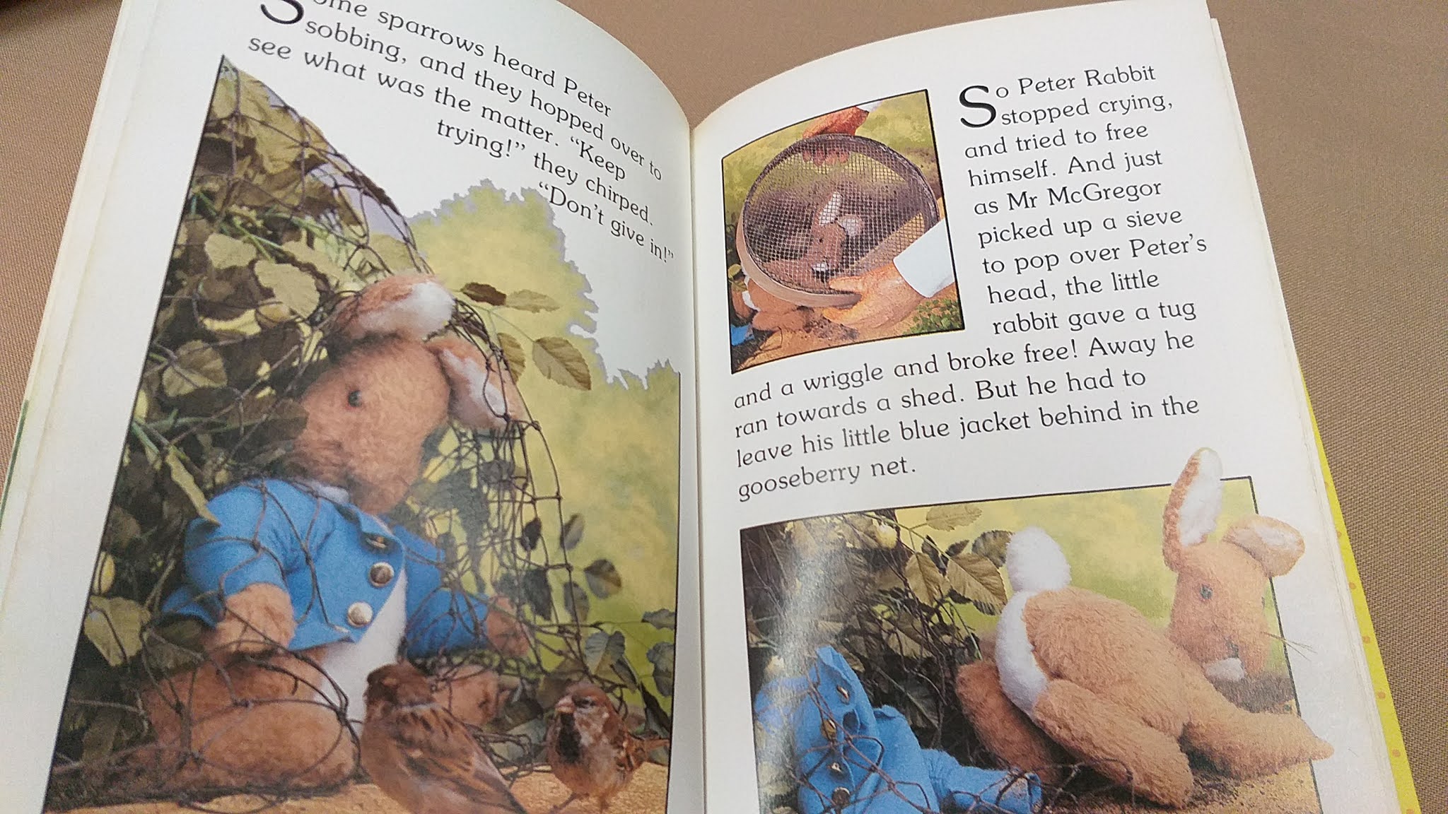 Kid Books Blog: 253.Peter Rabbit / Benjamin Bunny