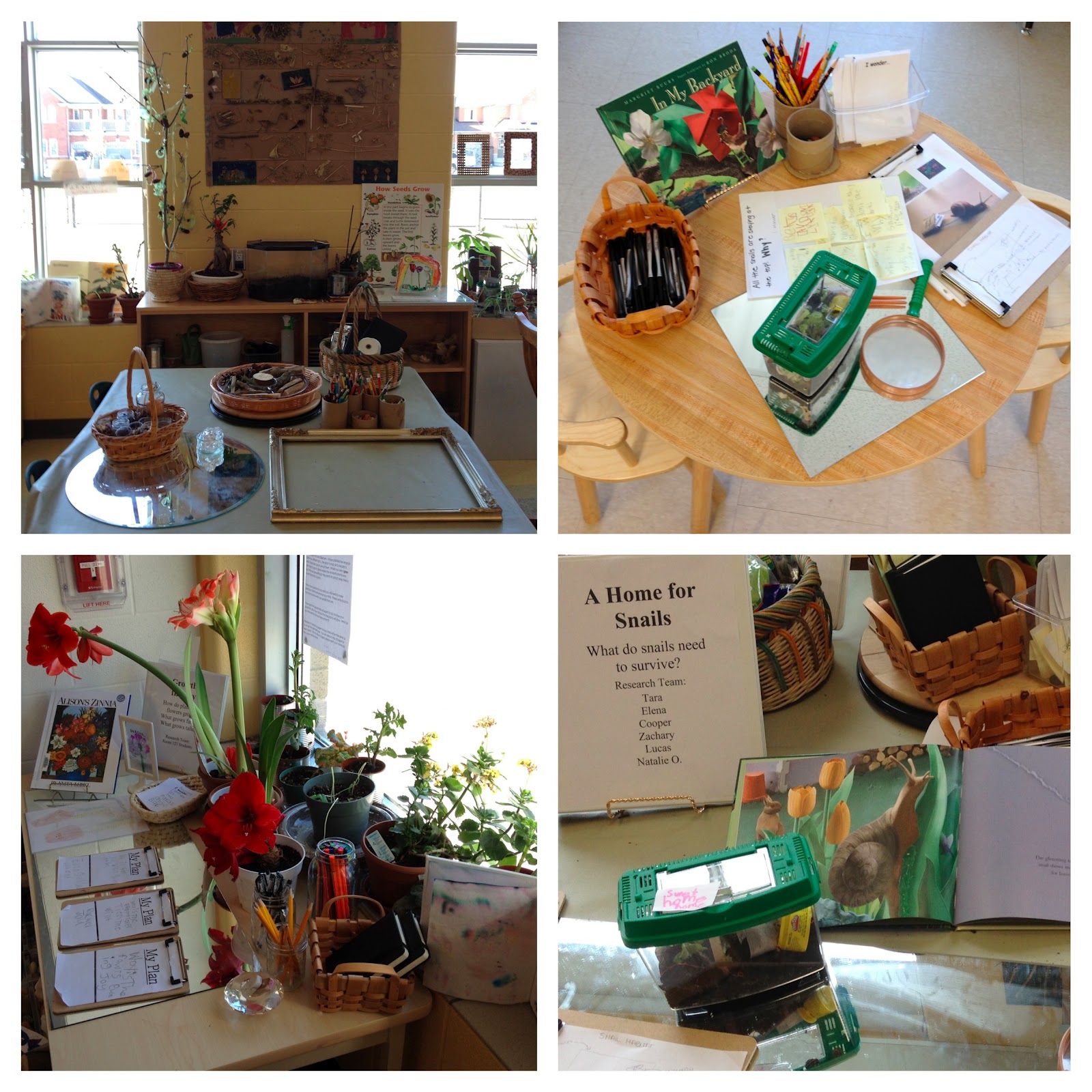 Inquiry Spaces | Transforming our Learning Environment into a Space of ...