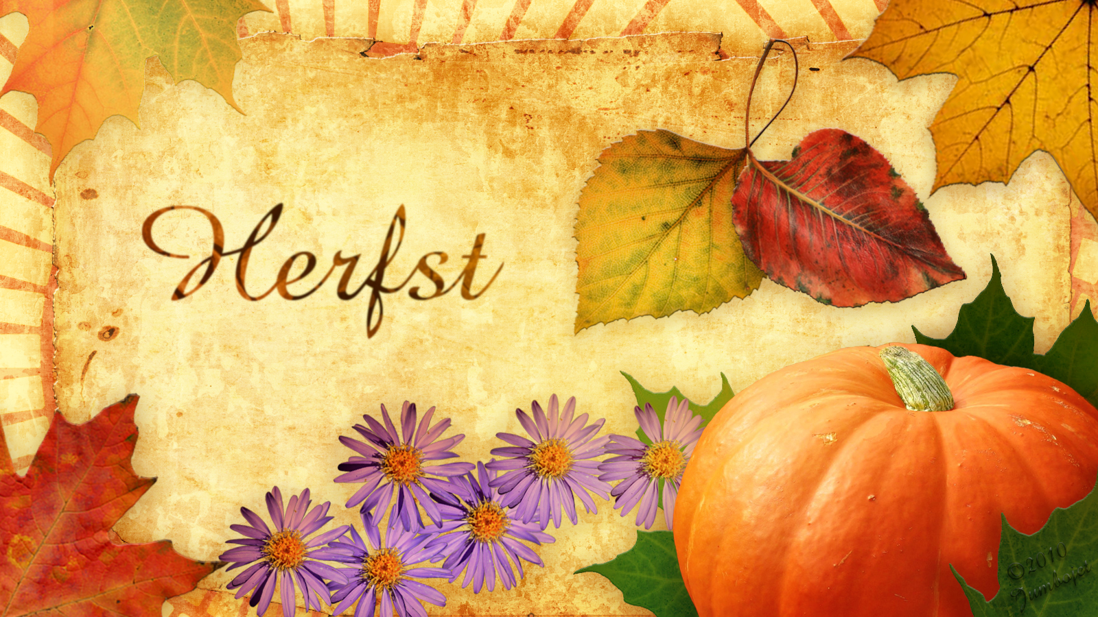 Welkom to my comfort home.: Herfst 2012