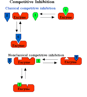 Biology~[Enzyme.]: ตัวยับยั้งเอนไซม์