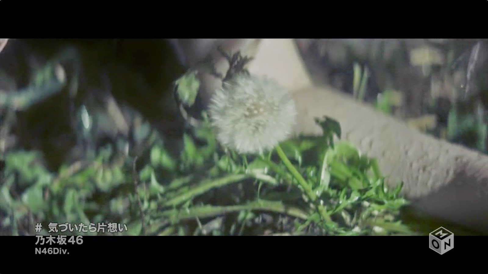 Nia's Wonderland: The Surprisingly Sad Story of a Dandelion