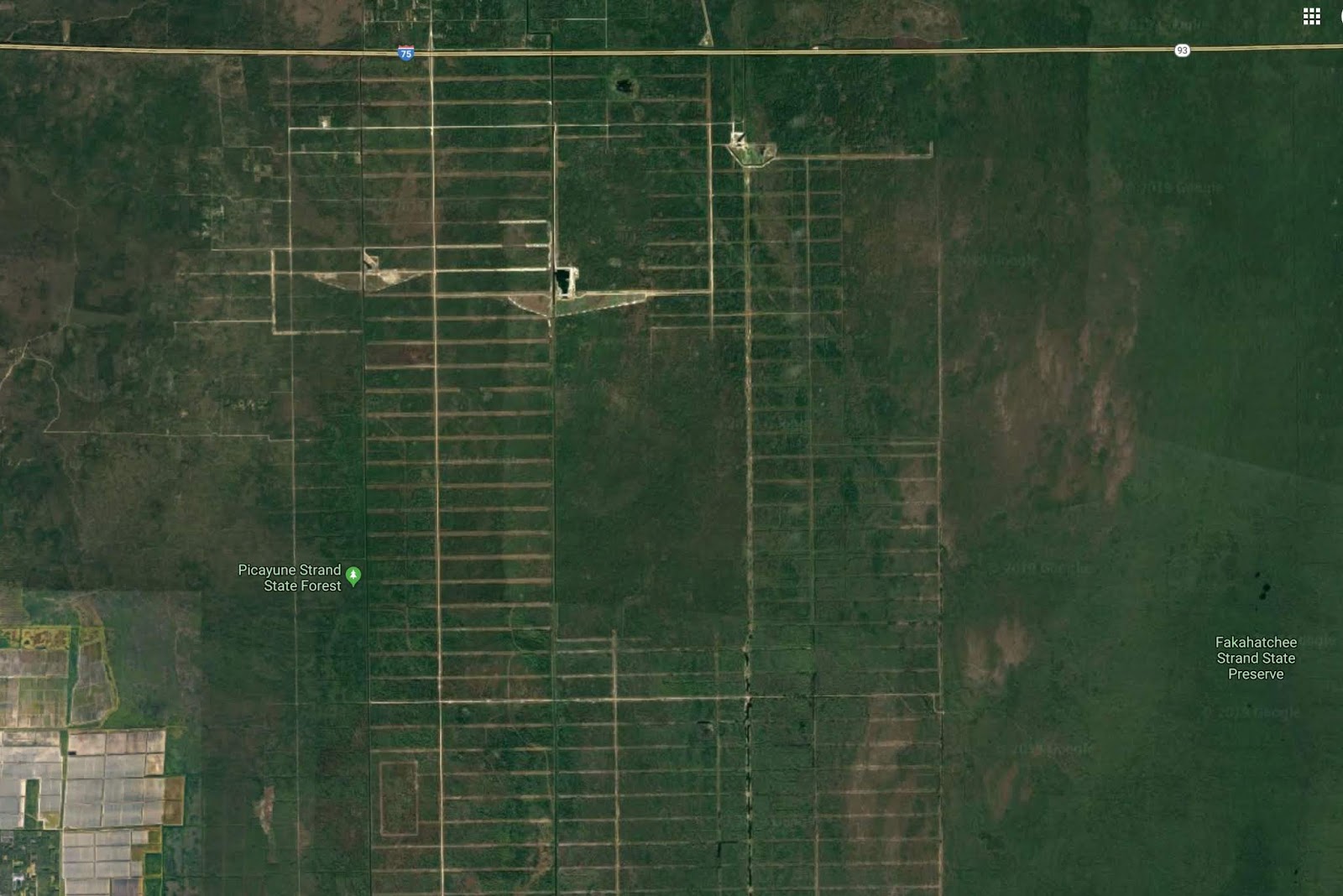 BUY UP PARADISE: Restoration of Florida's Picayune Strand Nearly Complete