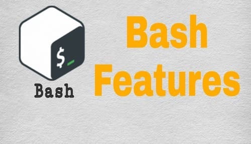 Features of Bash Script - TutorialsMate