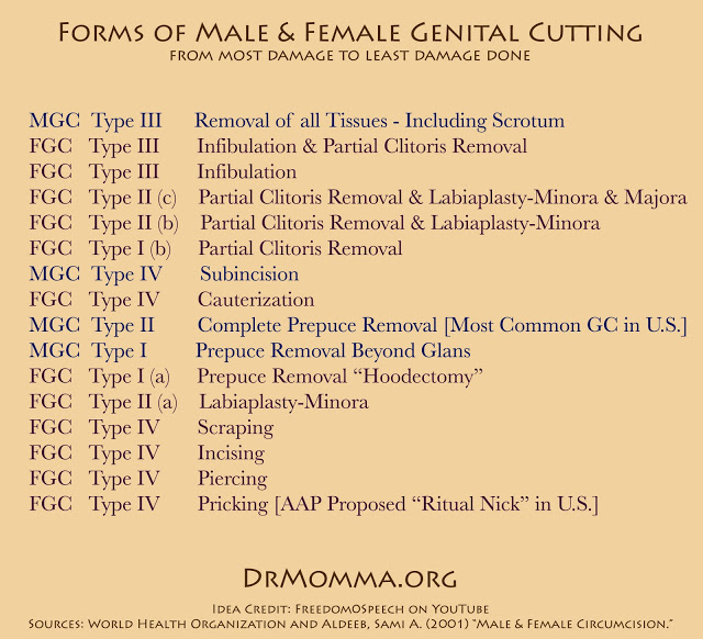 Saving Our Sons: Male and Female Circumcision
