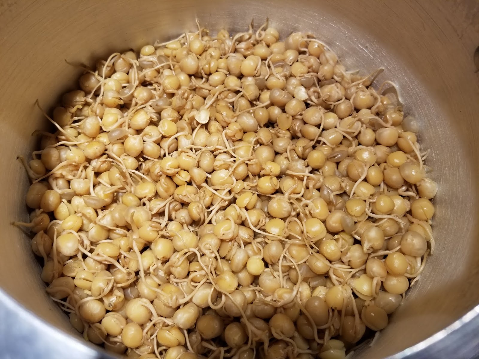 ပဲပြုပ် Sprouted Yellow Pea