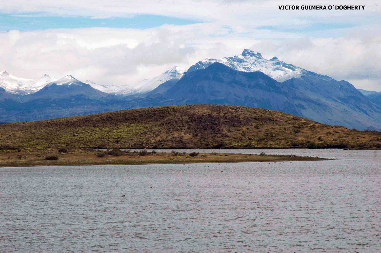 Mis imágenes de aves: AVES EN LA LAGUNA DE PUNTA BANDERAS
