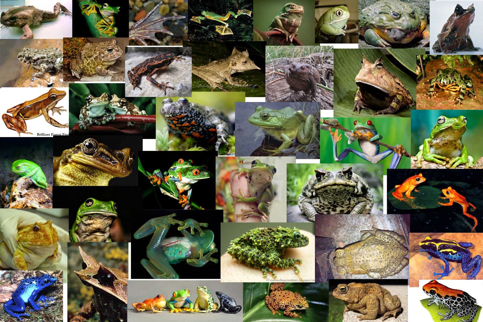 Game Art: Character Dichotomy - Week 1