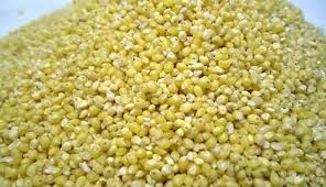 Panes no tradicionales: 2019