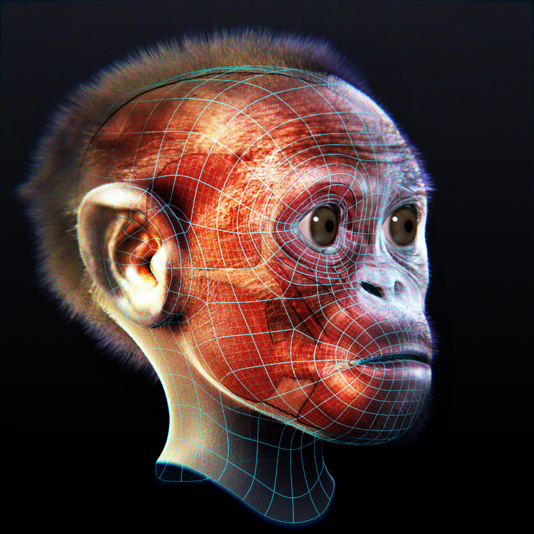 ATOR: Taung Project: 3D Forensic Facial Reconstruction