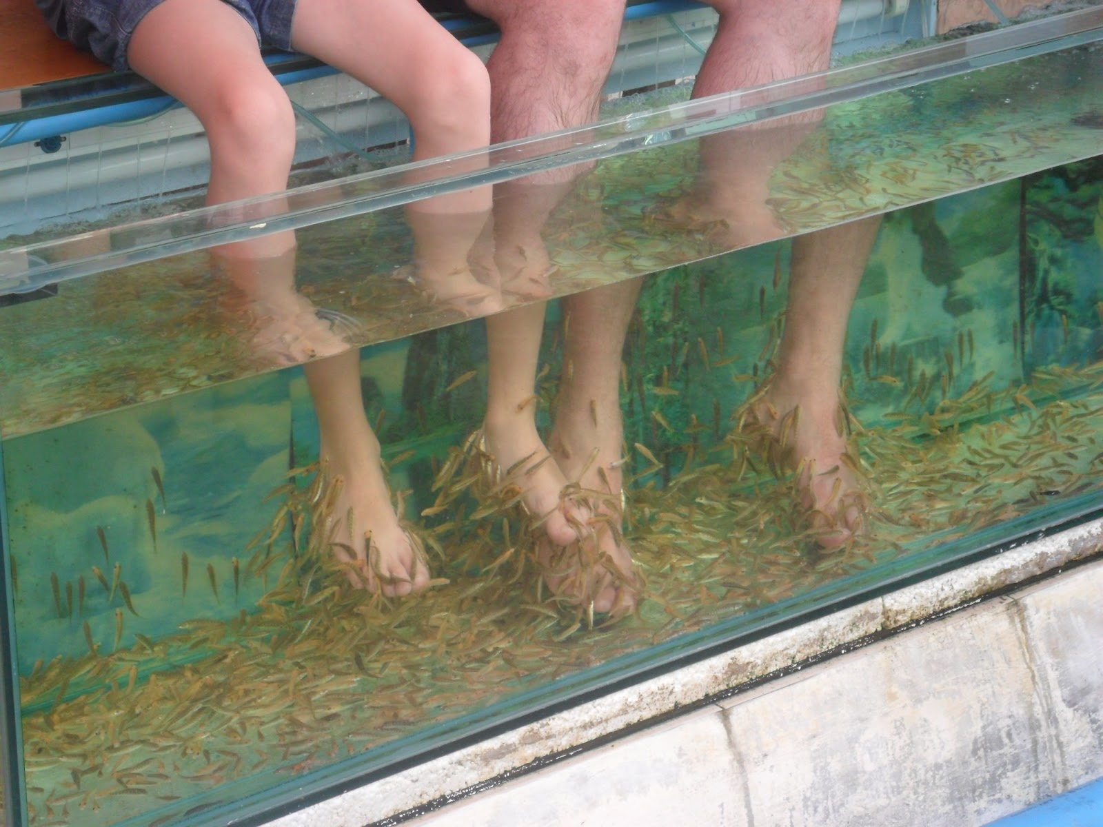 Expat Abroad: Fish spa therapy in Kuala Lumpur.