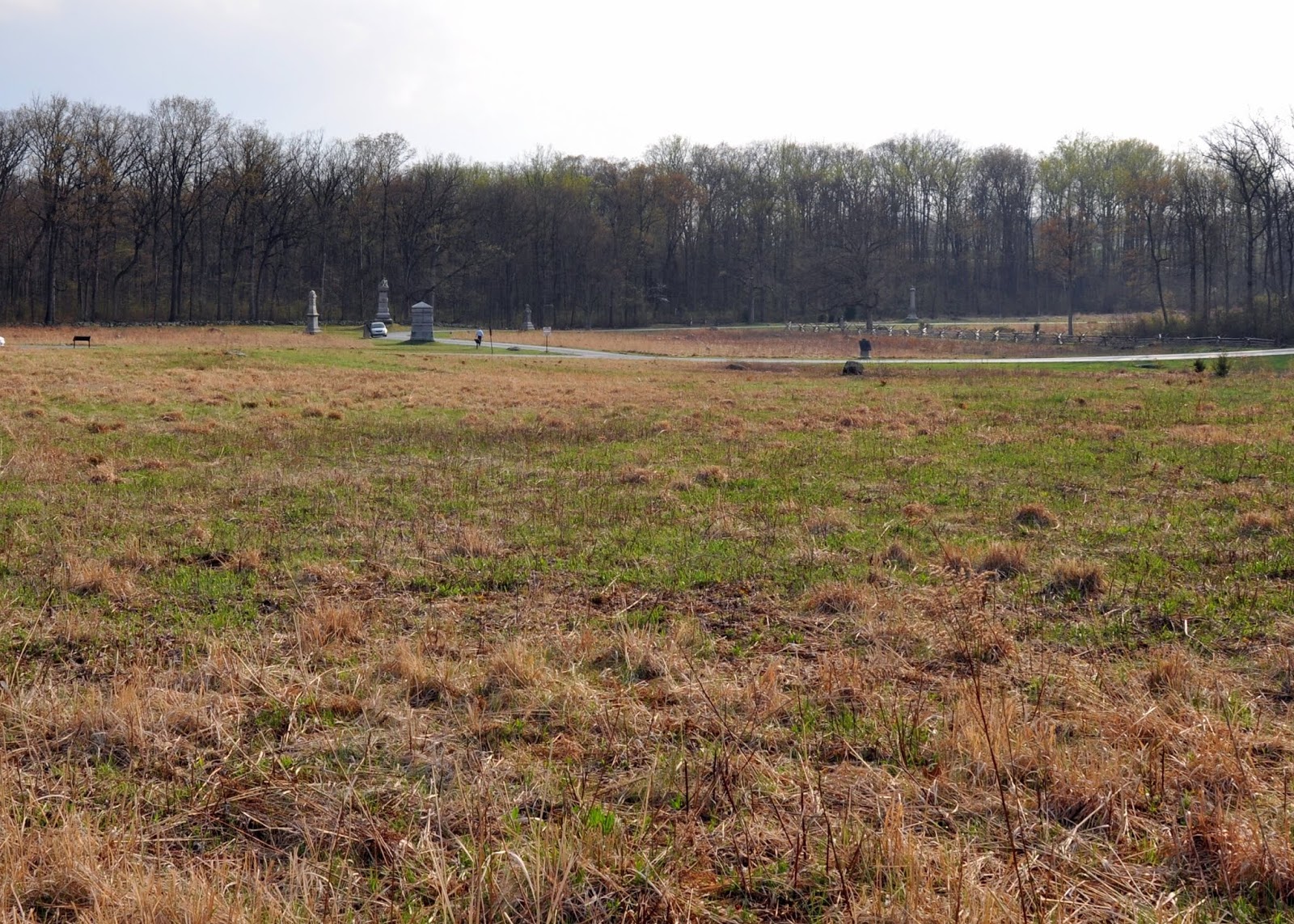 History of the Georgia National Guard: The Georgia Guard in Rome