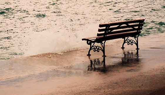 EL ORIGEN DE LAS PALABRAS