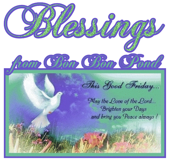 Reflections from Bon Bon Pond: April 2014