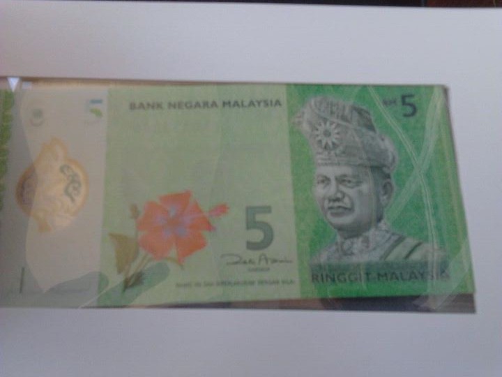 Duit Kertas Malaysia Baru RM1 dan RM5
